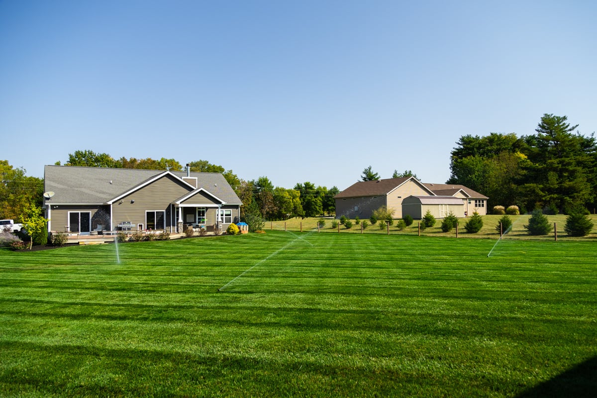 Solid vs Hollow Tine Aeration. Which Is Best for Your Lawn?